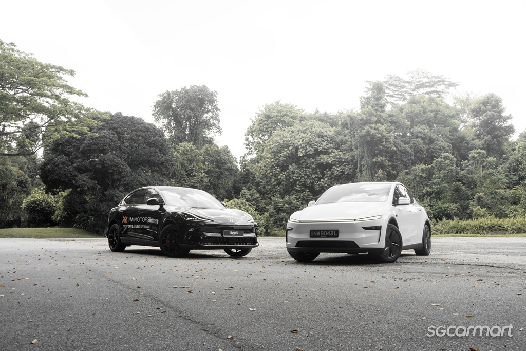 IM6 Luxury vs Tesla Model Y RWD 110 - Sgcarmart