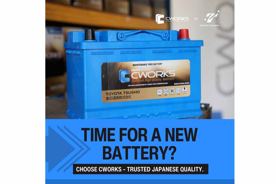 CWORKS Premium Long-Life DIN Battery